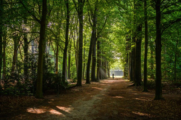 Wel en wee van de Oude Warande - Stadsbos013